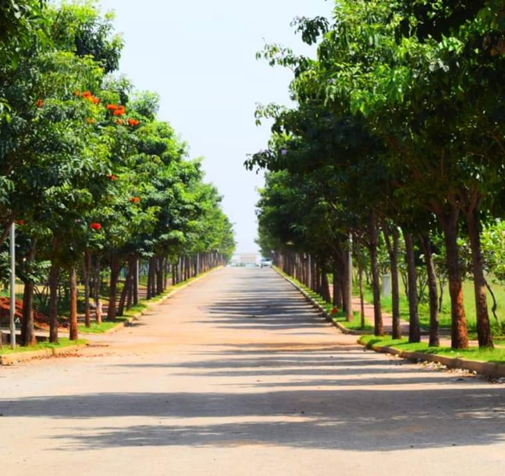 Anirvan By Sun Infrastructure, Premium Plotted Development